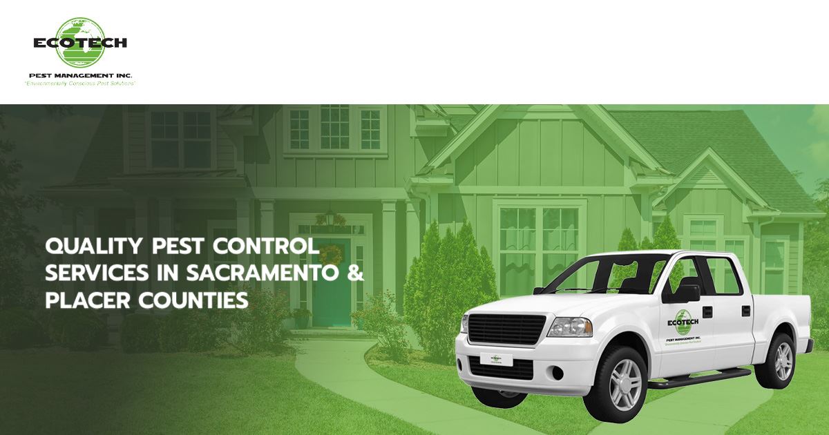 Sacramento Pest Control | EcoTech Pest Management Inc